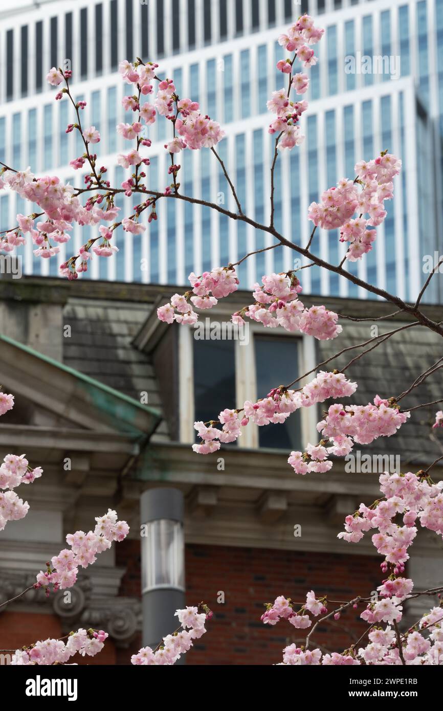 Aldgate Square is a public space located between The Aldgate School and ...