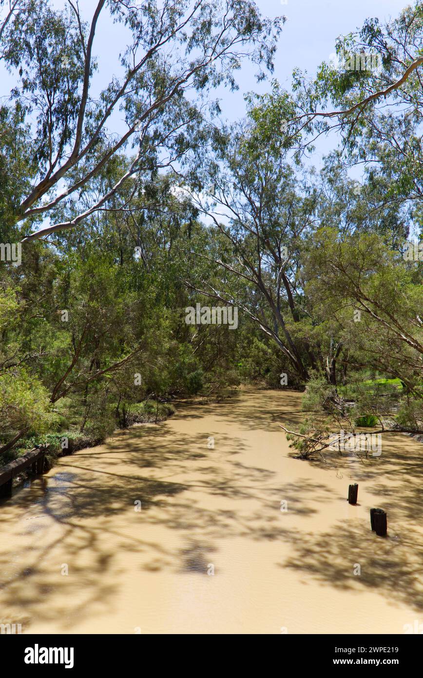 The Dawson River as it passes through Taroom Queensland Australia Stock ...