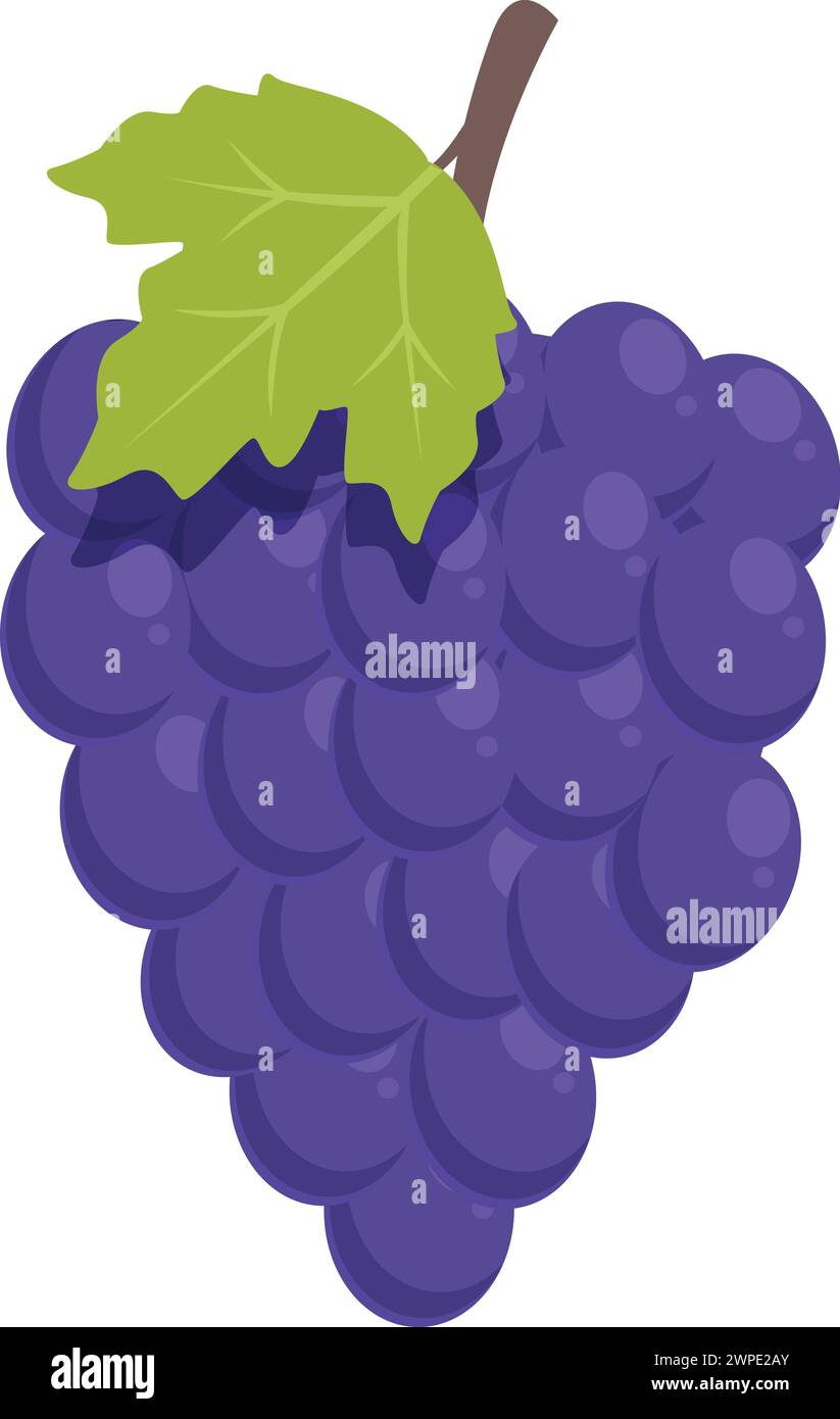 Red grapes fruit icon cartoon vector. Factory basket. Sector ...