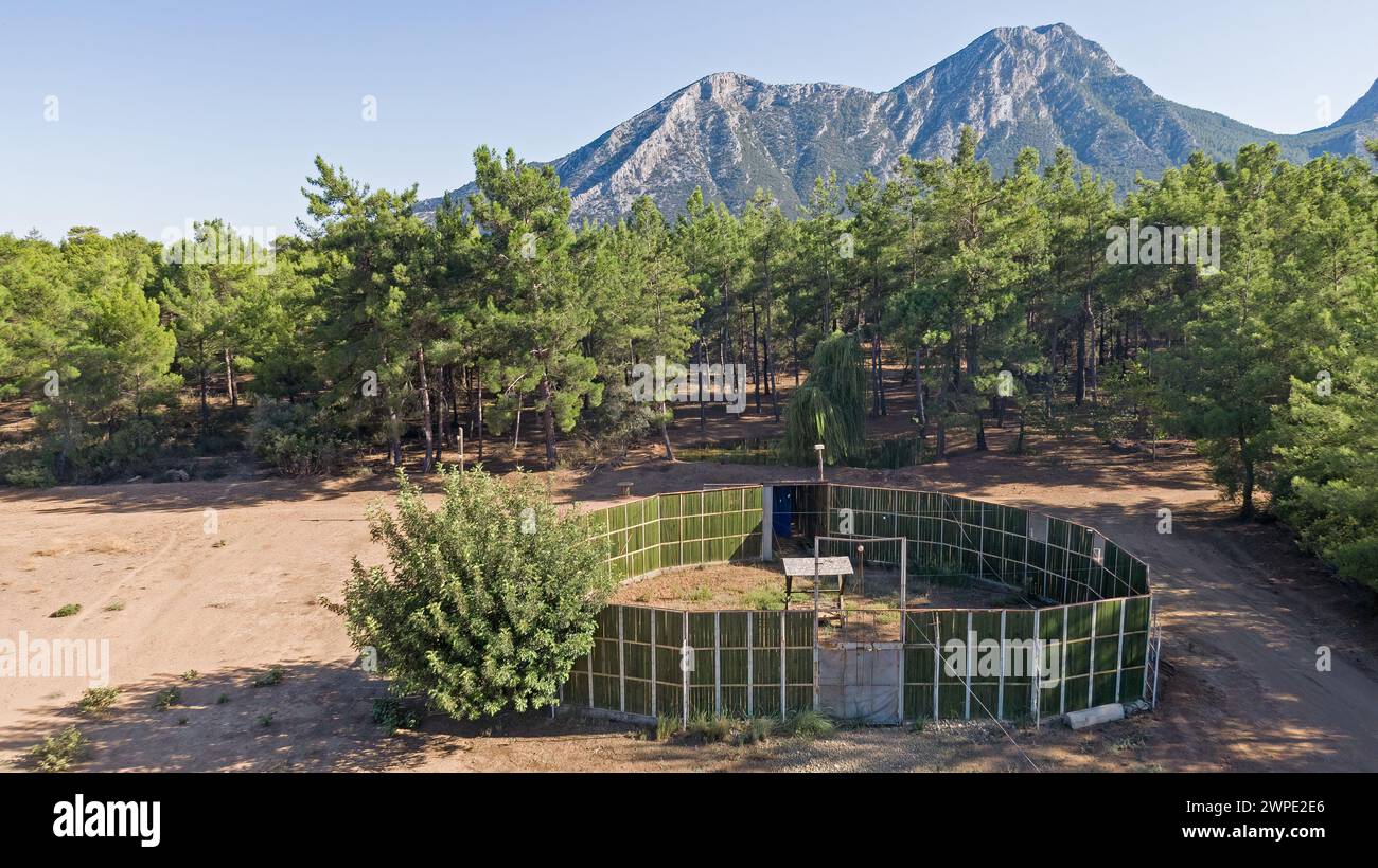 Deer in cage hi-res stock photography and images - Alamy