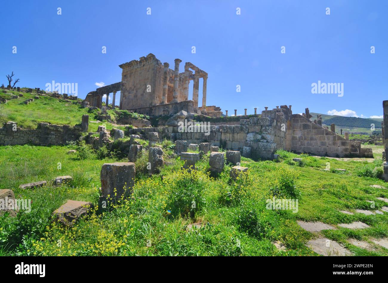 Temple of Severus in the Roman city of Cuicul, Algeria Stock Photo - Alamy