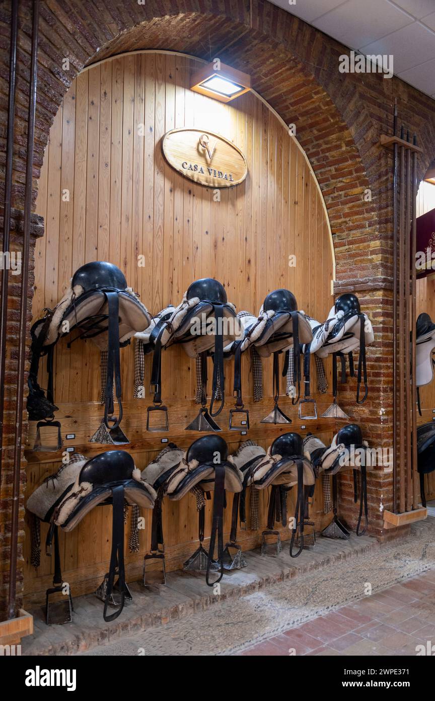 Las Caballerizas Reales de Cordoba (The Royal Stables of Cordoba) in ...