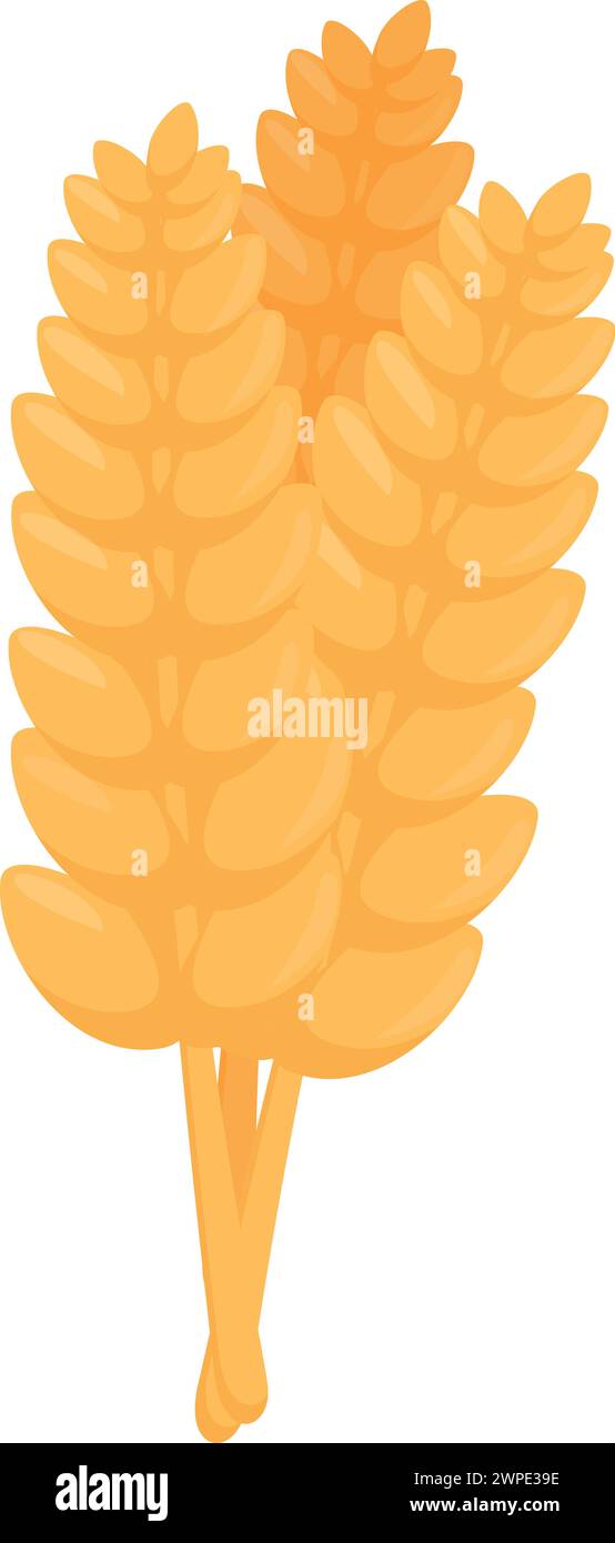 Grain wheat plant icon cartoon vector. Bread production material. Farm ...