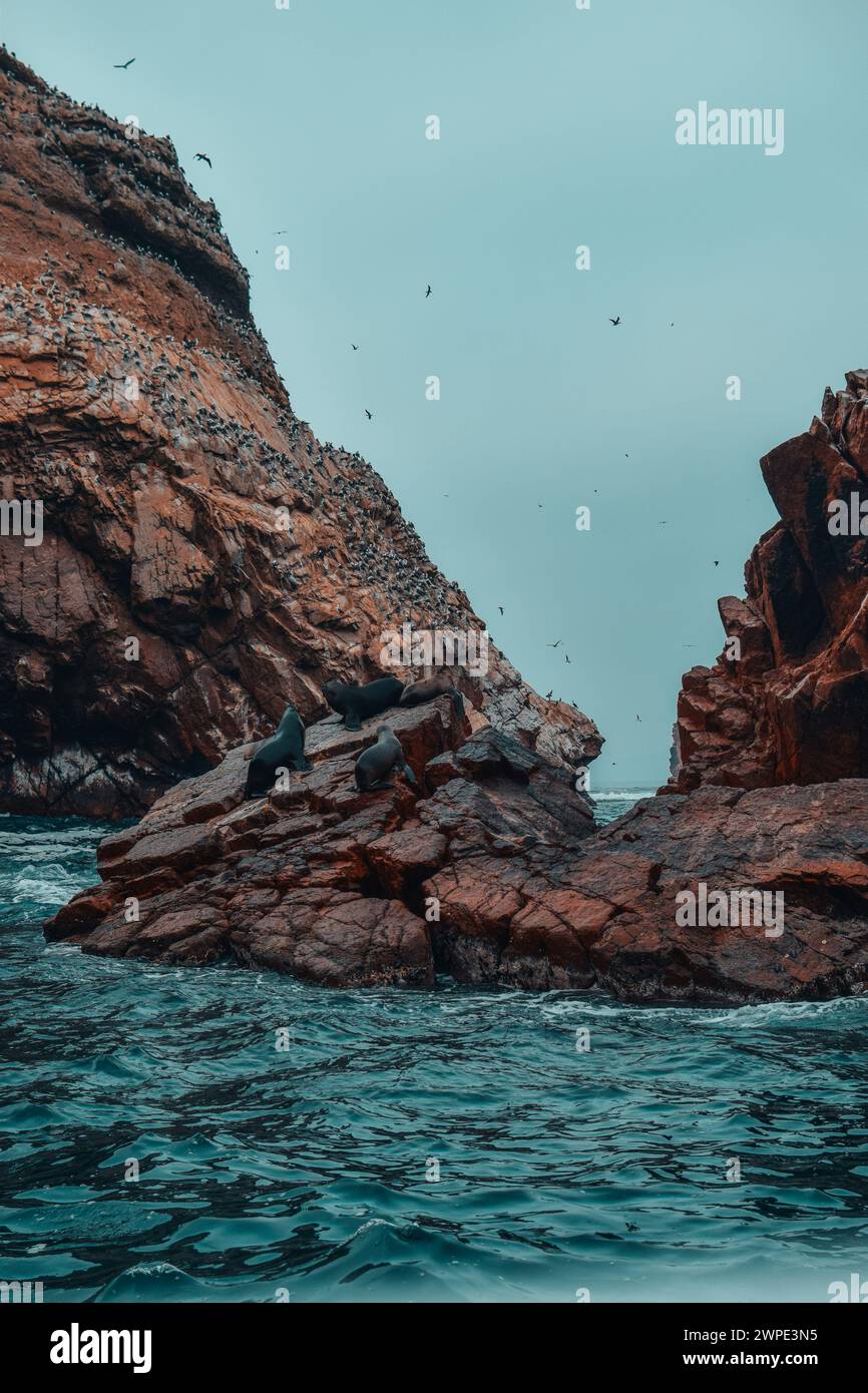 Puerto Pellejo, near Pisco Stock Photo - Alamy