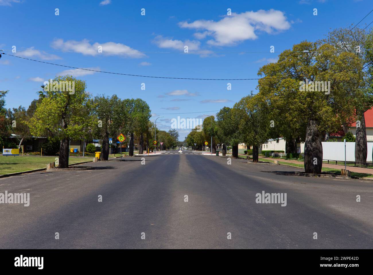 Heroes Avenue a collective planting of Queensland Bottle Trees ...