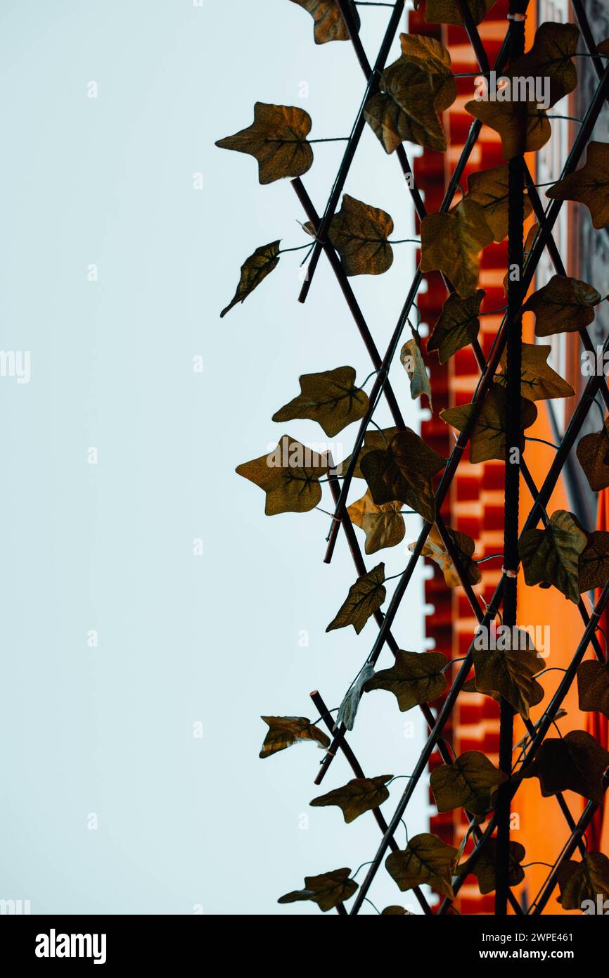 Tangled nature hi-res stock photography and images - Alamy