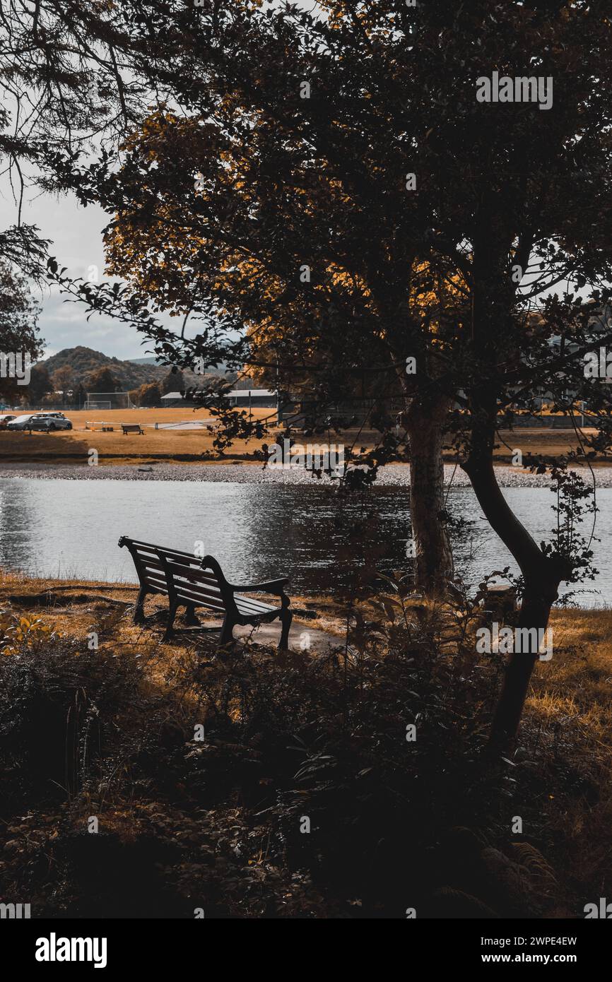 Harry potter forest hi-res stock photography and images - Alamy