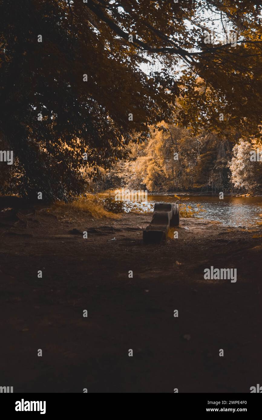 Harry potter forest hi-res stock photography and images - Alamy