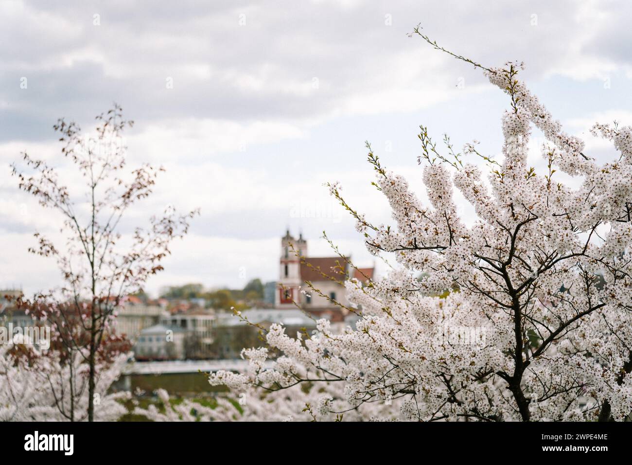 VILNIUS, LITHUANIA - 2023 APRIL 22: Church of St. Philip and St. Jacob ...
