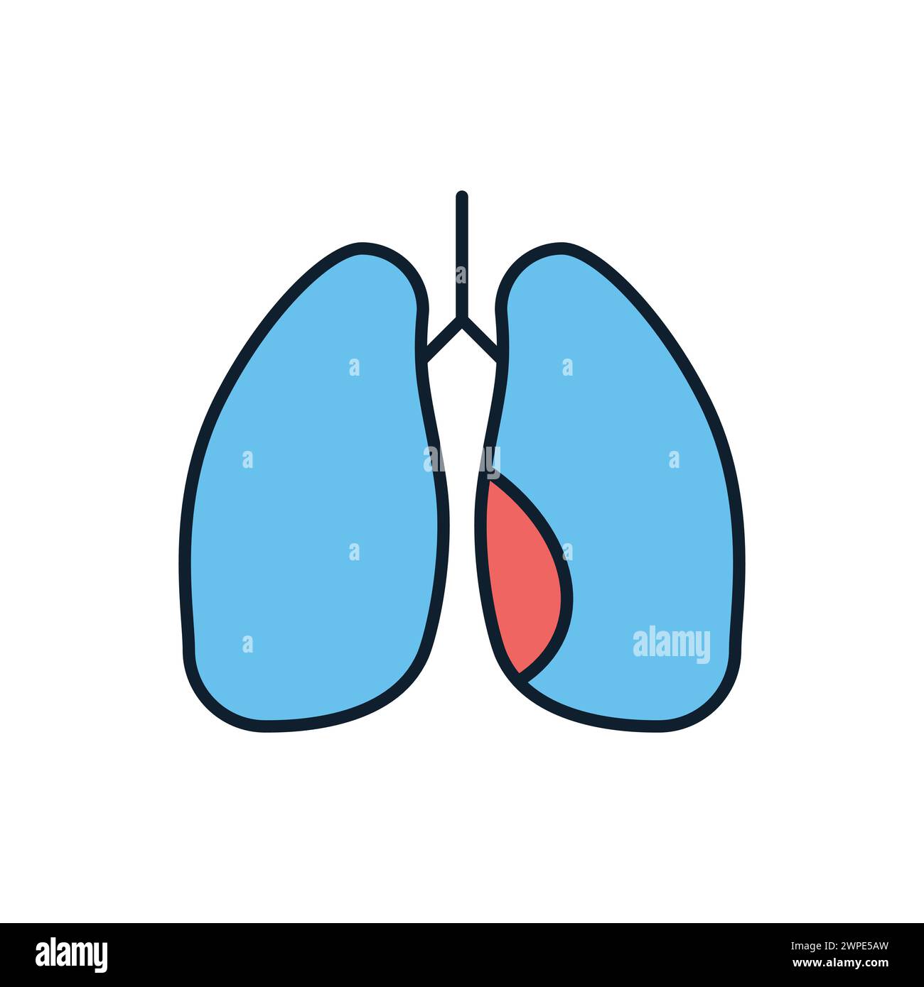 Lungs related vector icon. Lungs sign. Isolated on white background ...