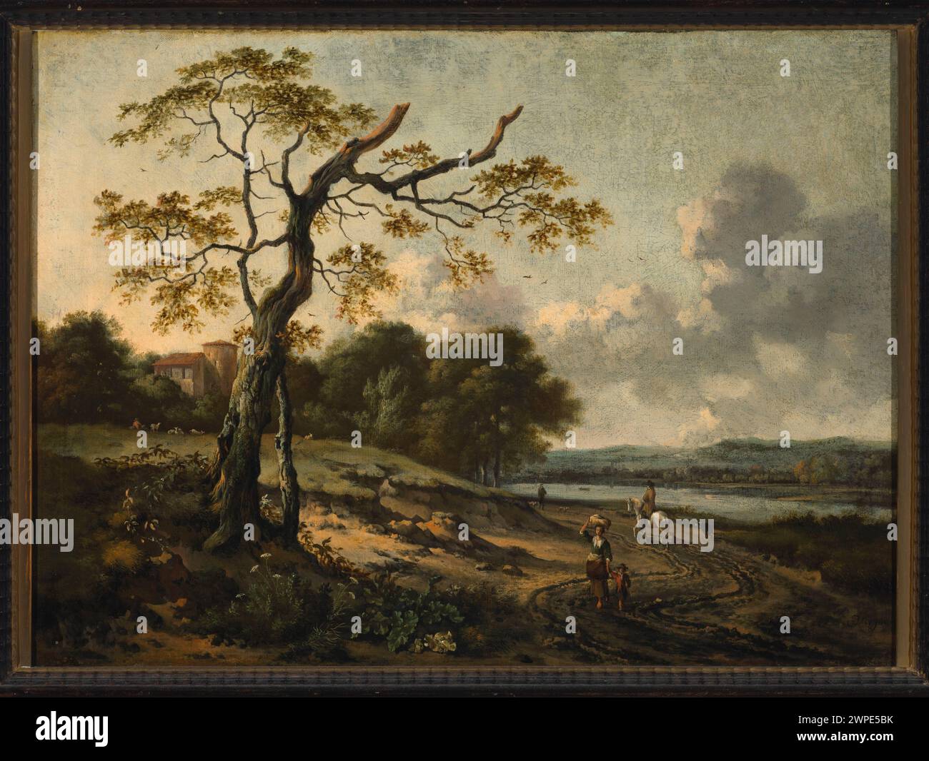 Samotne drzewa hi-res stock photography and images - Alamy