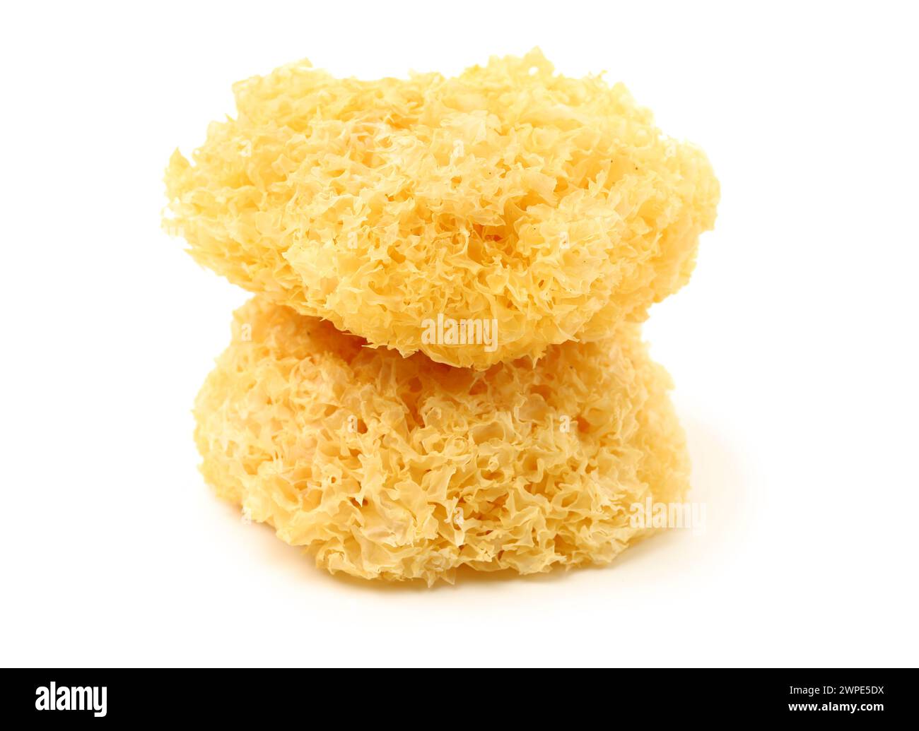 Silver ear fungus tremella fuciformis hi-res stock photography and ...