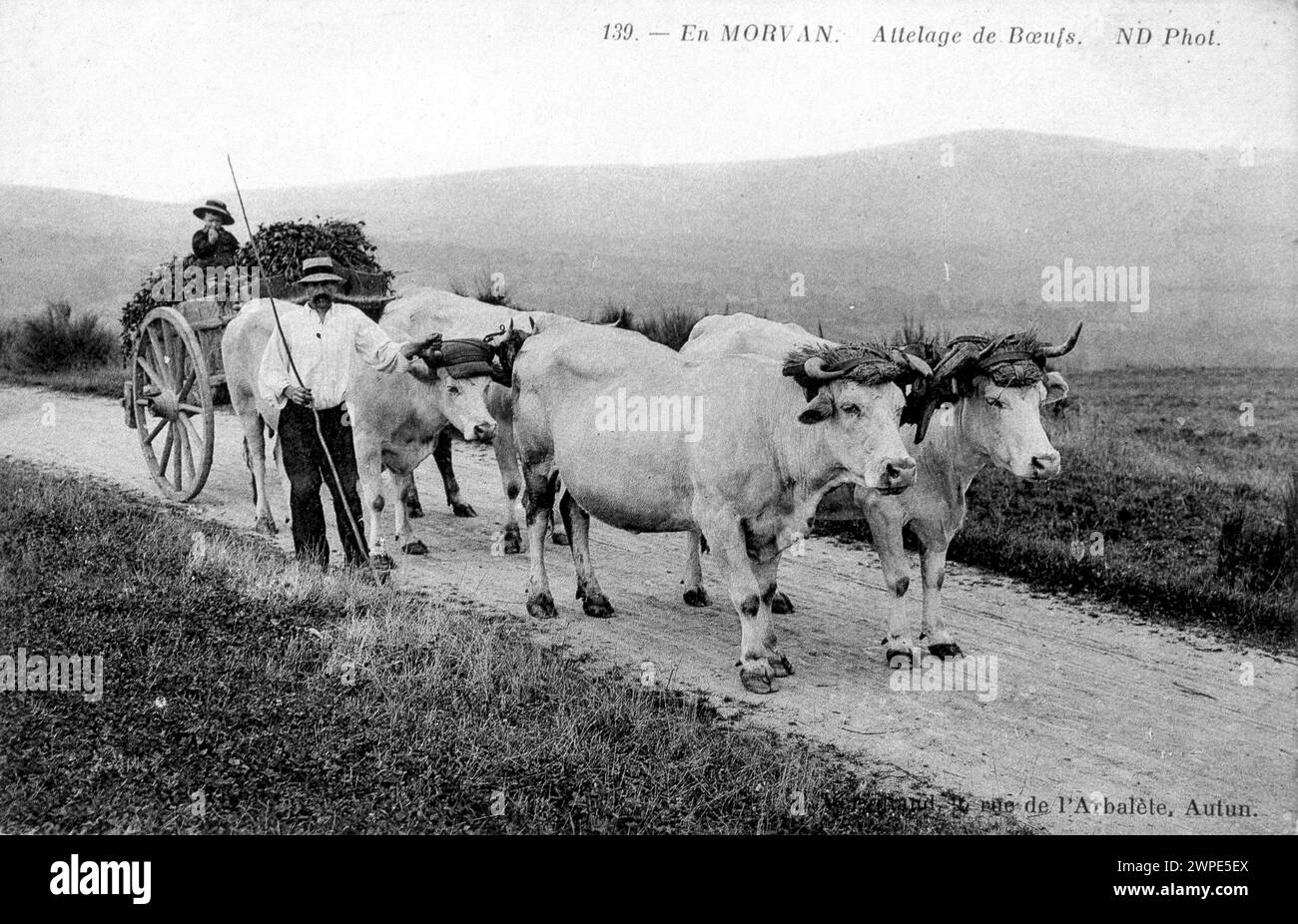 Mezzo manzo hi-res stock photography and images - Alamy