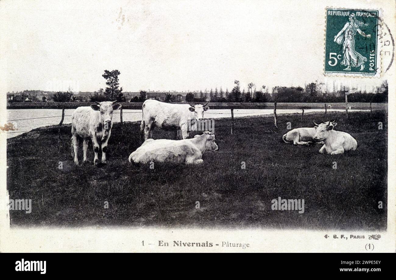 Allevamento allevamento allevamento allevamento elevage hi-res stock ...