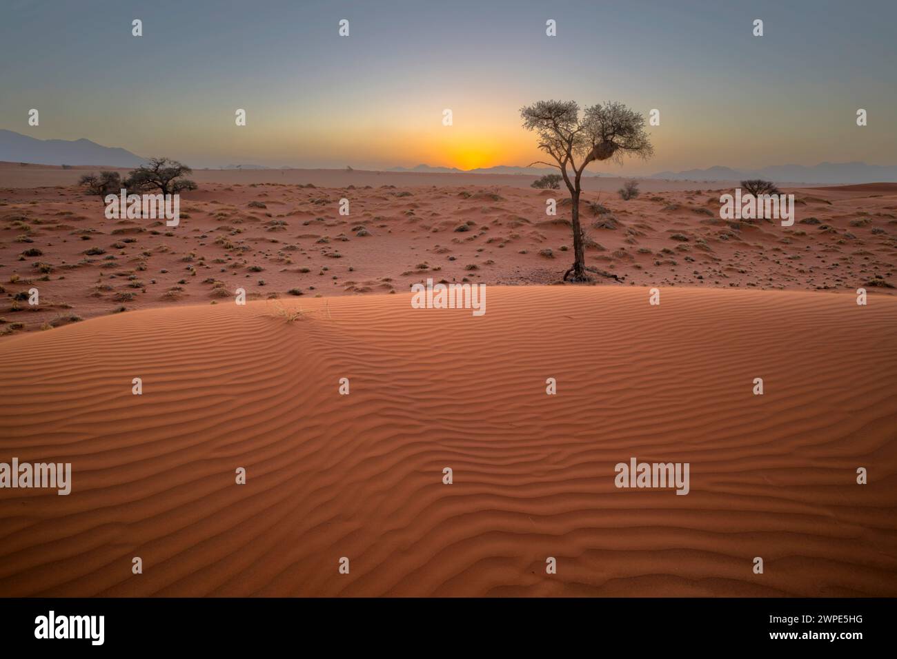 Wind swept patterns in the red sand after sunset Namibia Stock Photo ...