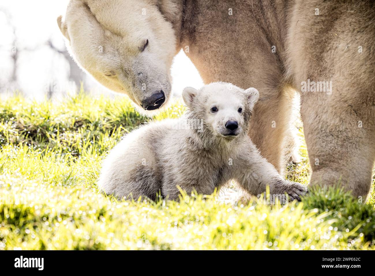 Mierlo Mother Frimas Comes Out For The First Time With Her Newborn