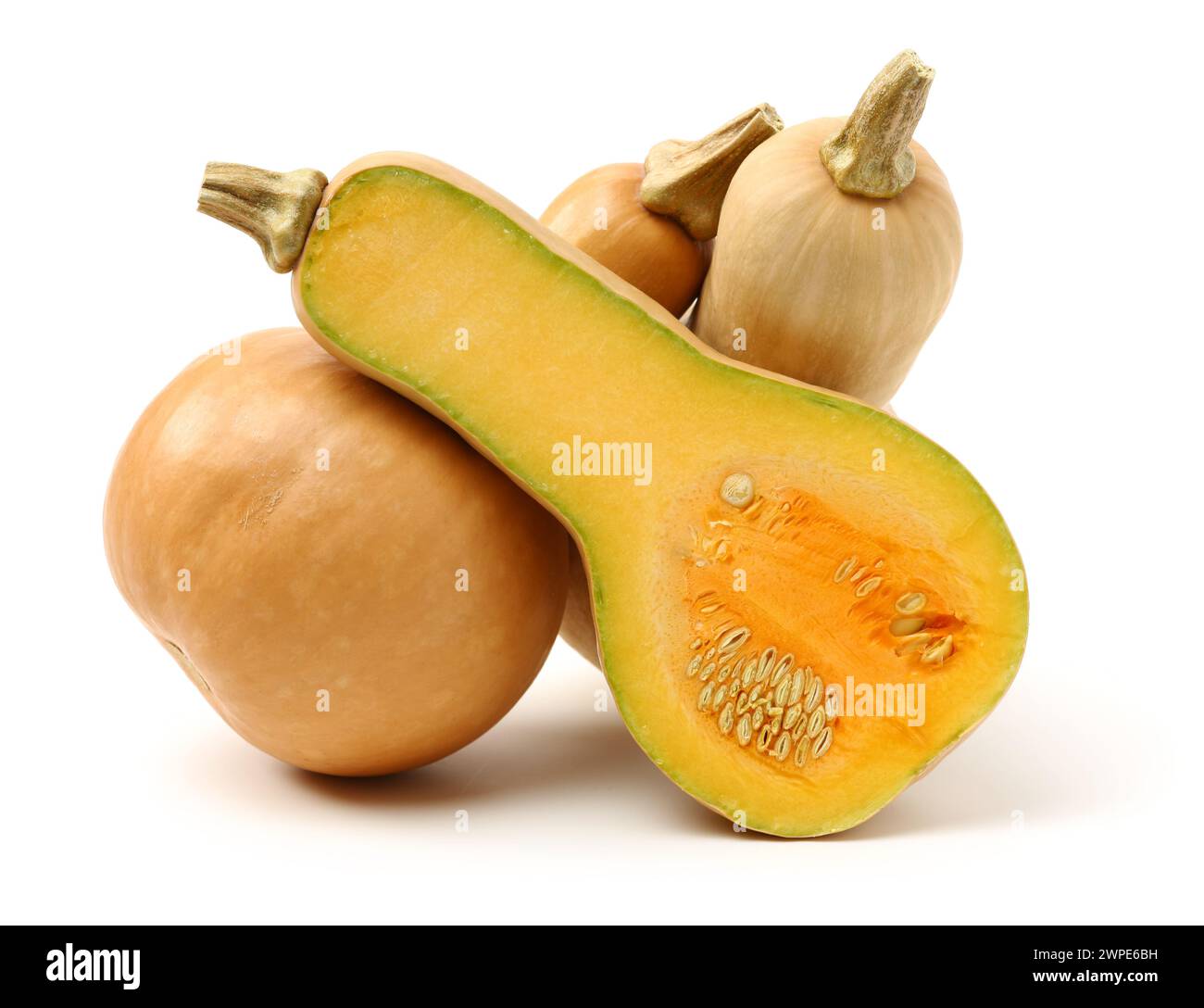 fresh butternut pumpkin on white background Stock Photo - Alamy