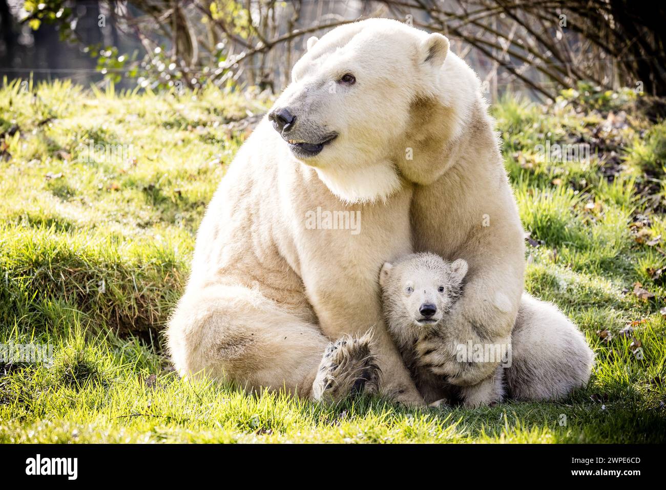 MIERLO - Mother Frimas comes out for the first time with her newborn ...