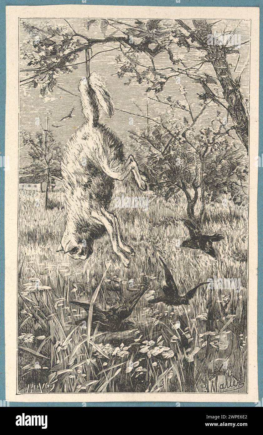 Cat hung by the tail on the tree; Huyot, Jules Jean Marie (1841-1921 ...