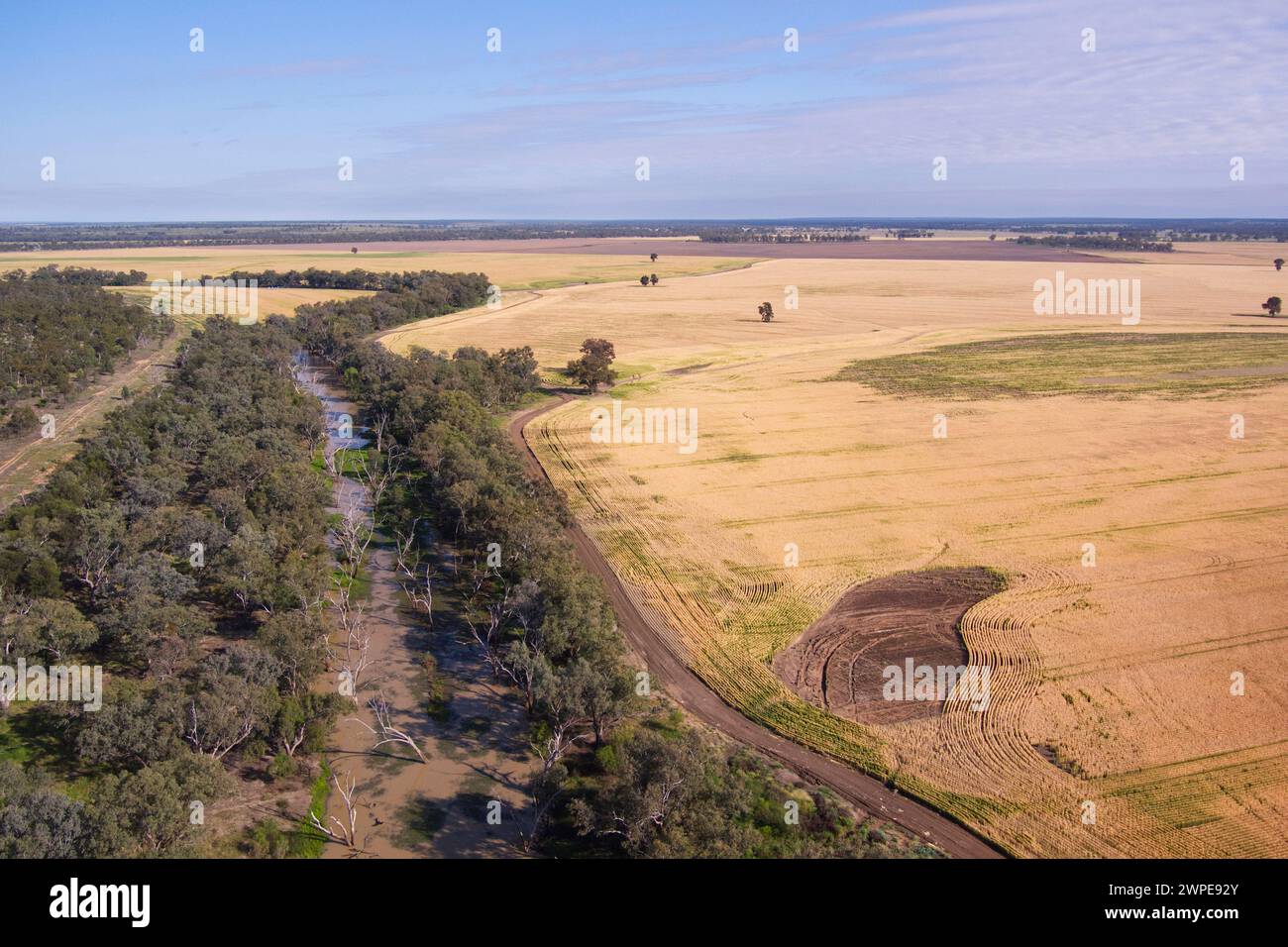 Aerial of wheat fields on the banks of Frogmore Creek near Surat ...