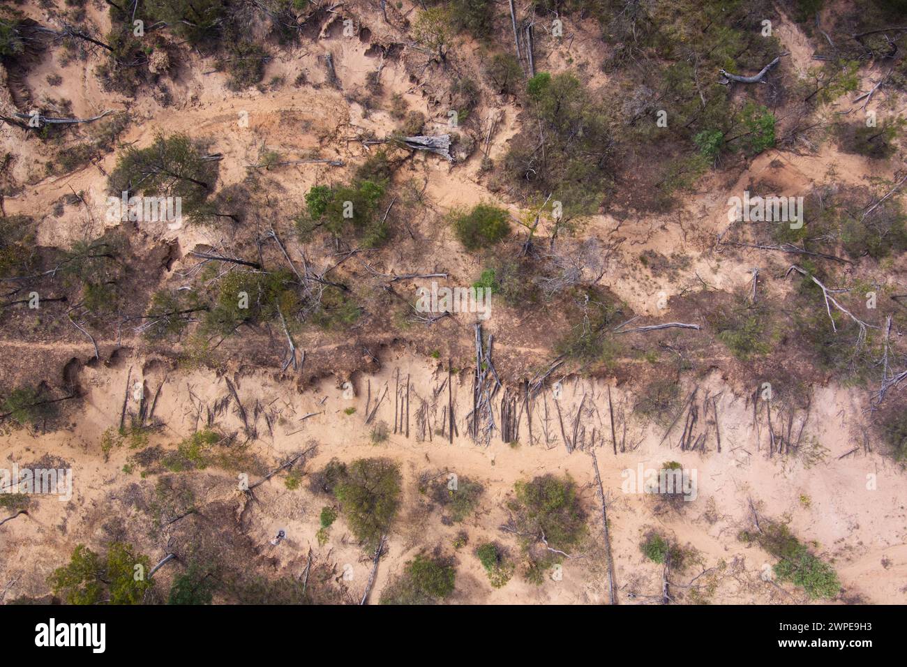 The original Corduroy short lengths of timber cut to form a base for ...