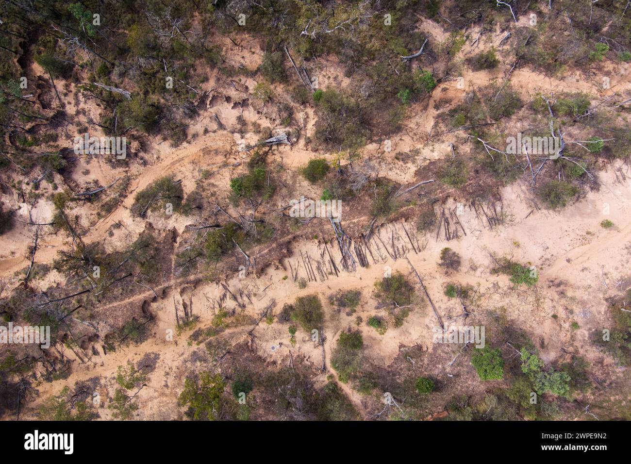 The original Corduroy short lengths of timber cut to form a base for ...