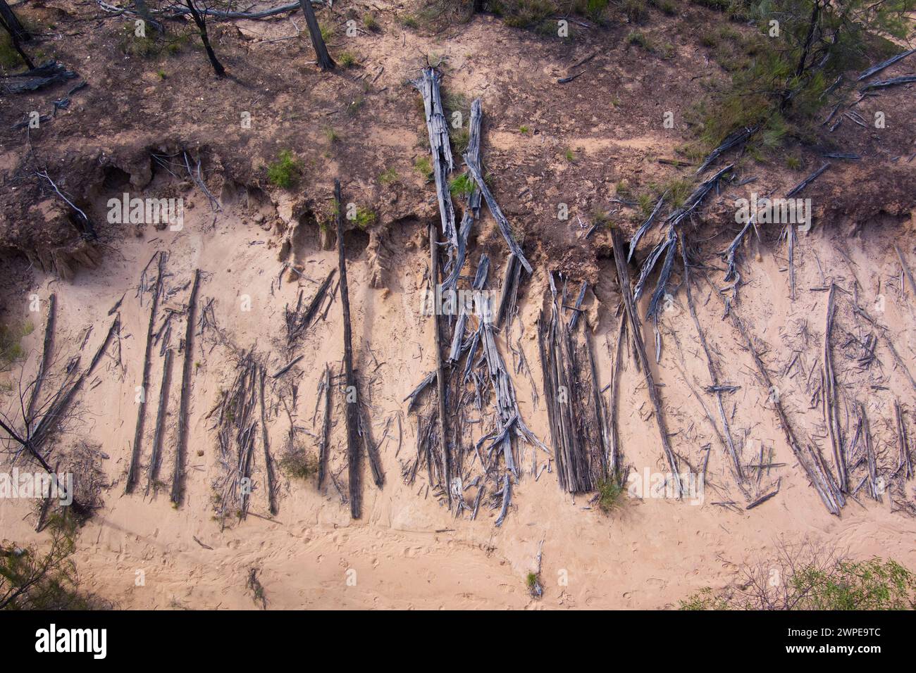 The original Corduroy short lengths of timber cut to form a base for ...