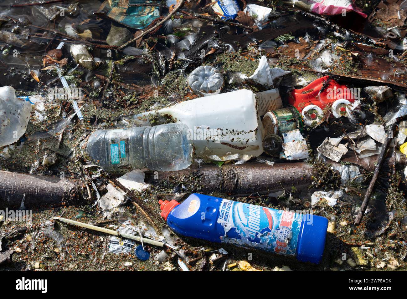Floating litter including plastic bottles, UK Stock Photo - Alamy