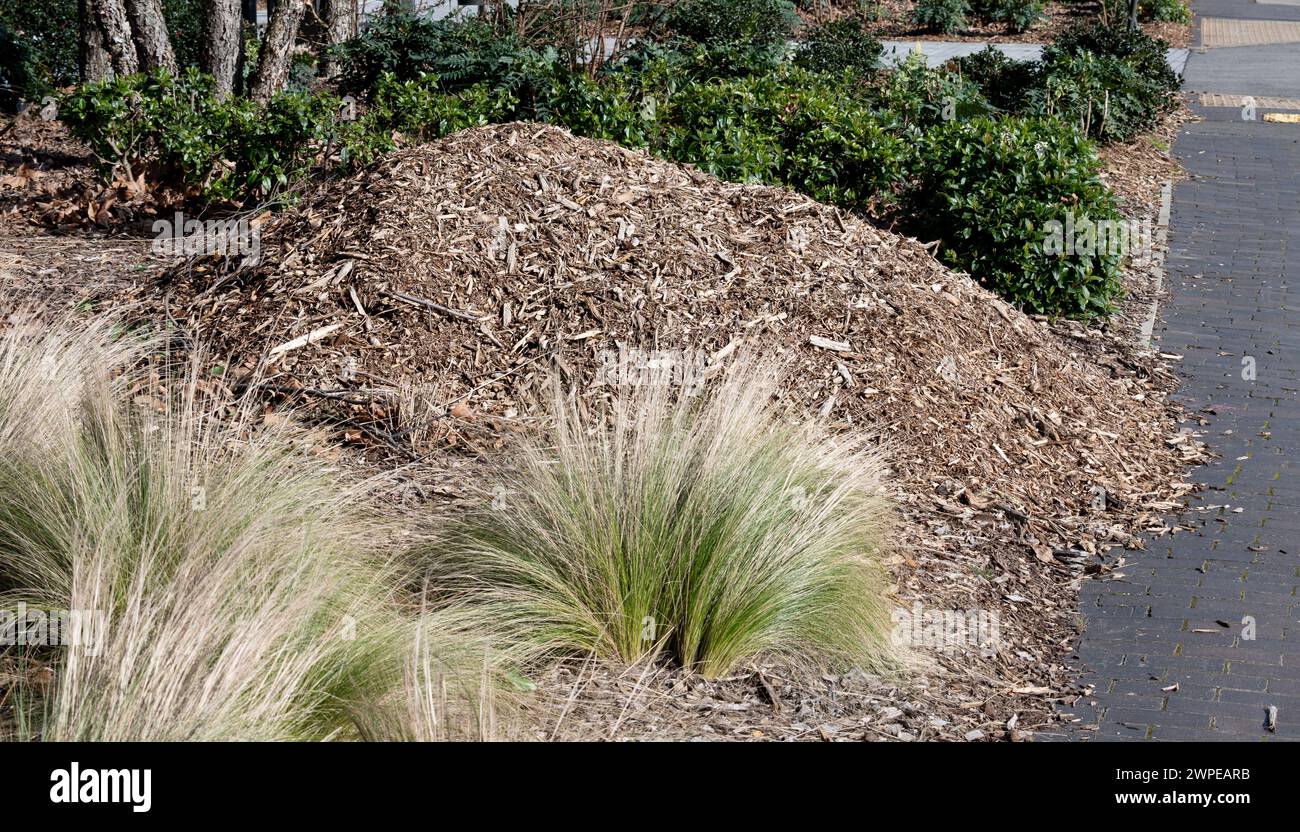 Woodchip garden mulch, Eastside City Park, Curzon Street, Birmingham ...