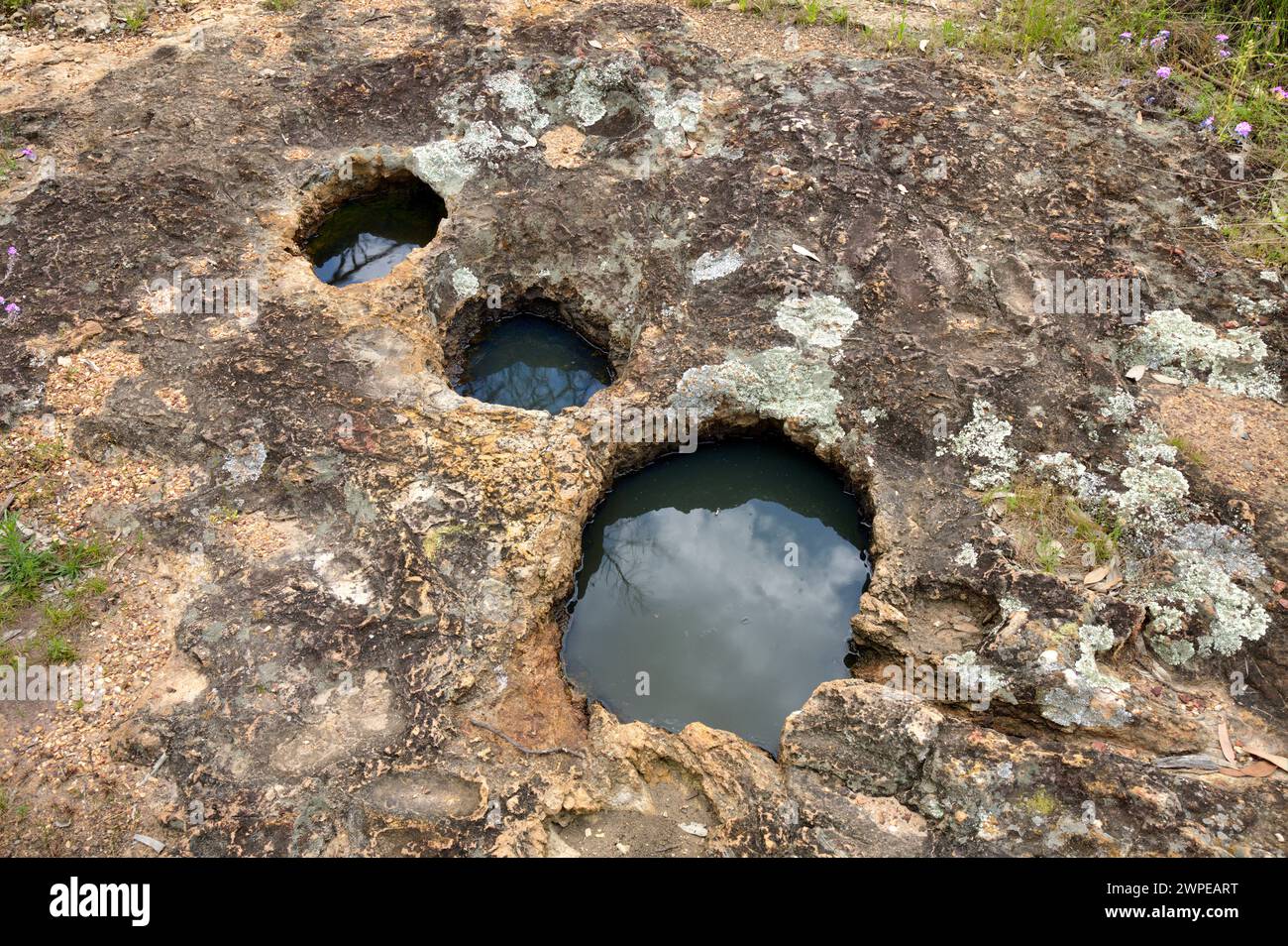 Australian indigenous native hi-res stock photography and images - Alamy