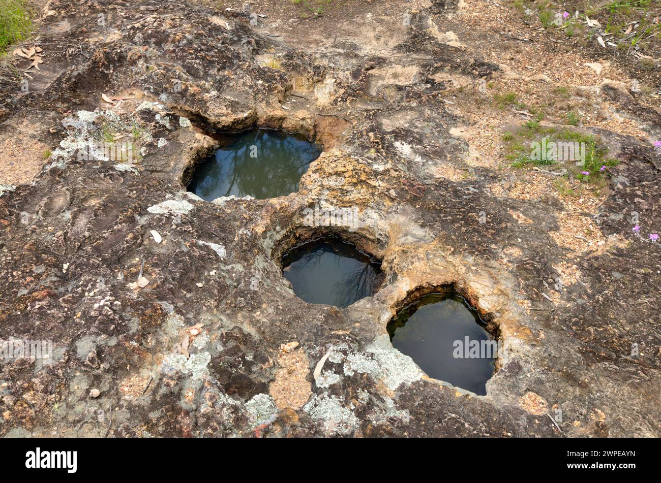 Australian indigenous native hi-res stock photography and images - Alamy