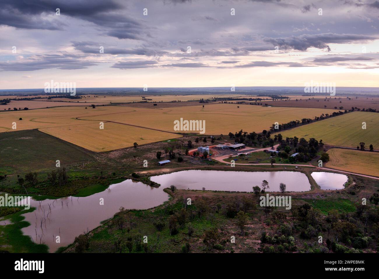 Aerial fields of wheat farm near Wallumbilla Queensland Australia Stock ...