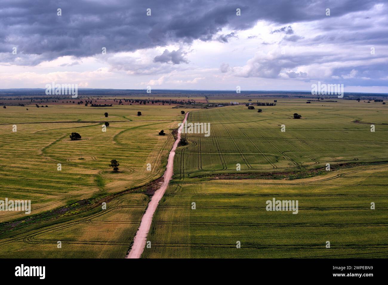 Aerial of rural unsealed road passing through fields of wheat near ...