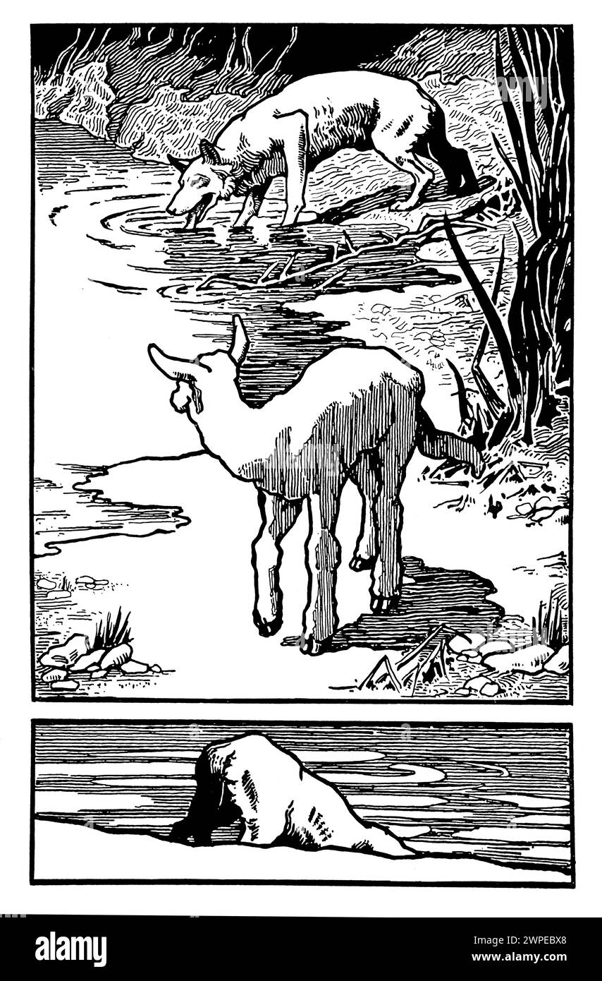 The wolf and the lamb, 1901 Aesop’s Fables line illustration by Suffolk ...