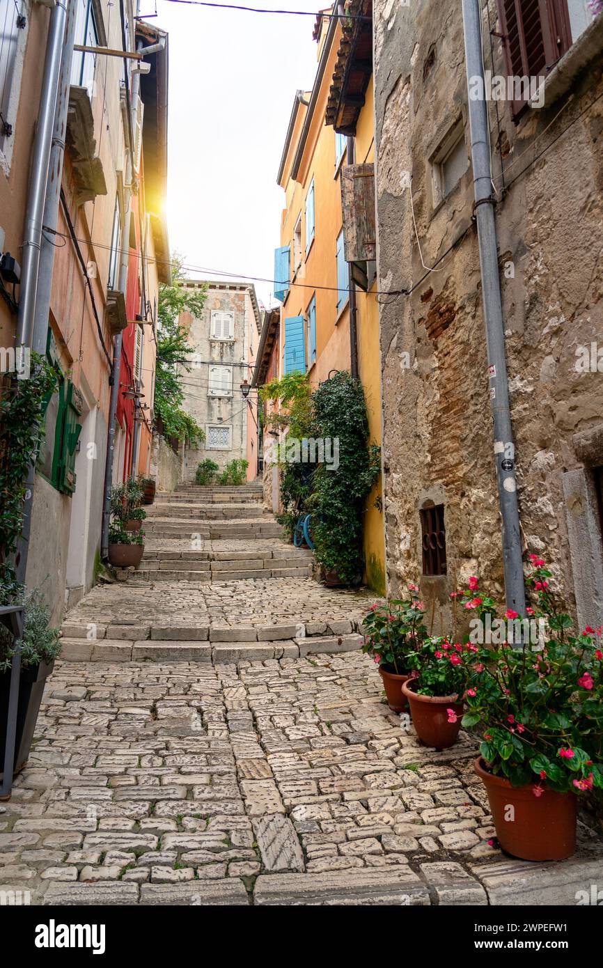 cityscape grisia street view in Rovinj Croatia with yellow houses doors ...