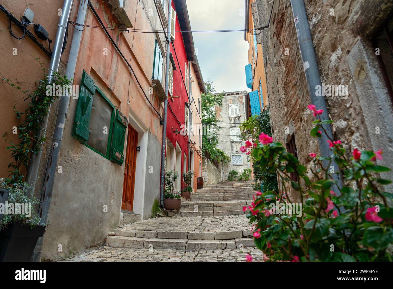 cityscape grisia street view in Rovinj Croatia with yellow houses doors ...