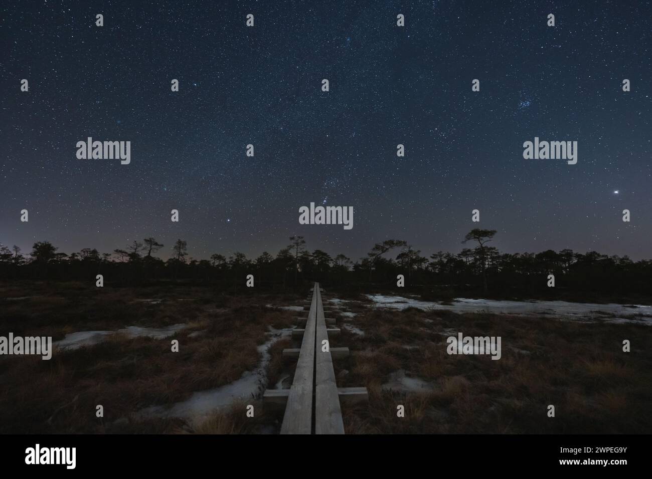 Night scene, landscape astrophoto at Seli swamp, wooden path for ...