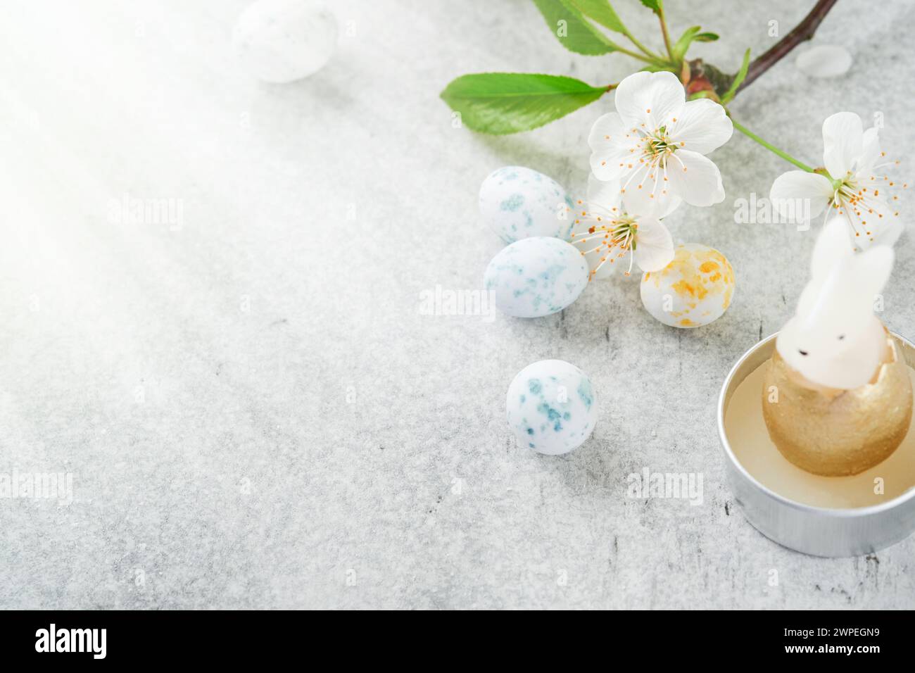Spring Easter background. Passover blooming white apple or cherry ...