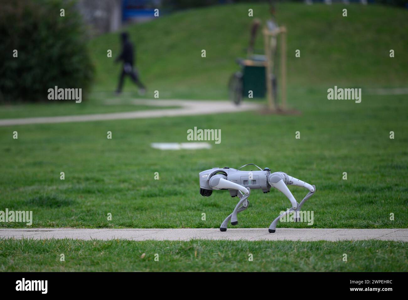 Robot dog owned by Milan Rajcevic, owner and director of the company Notum Robotics walked ...