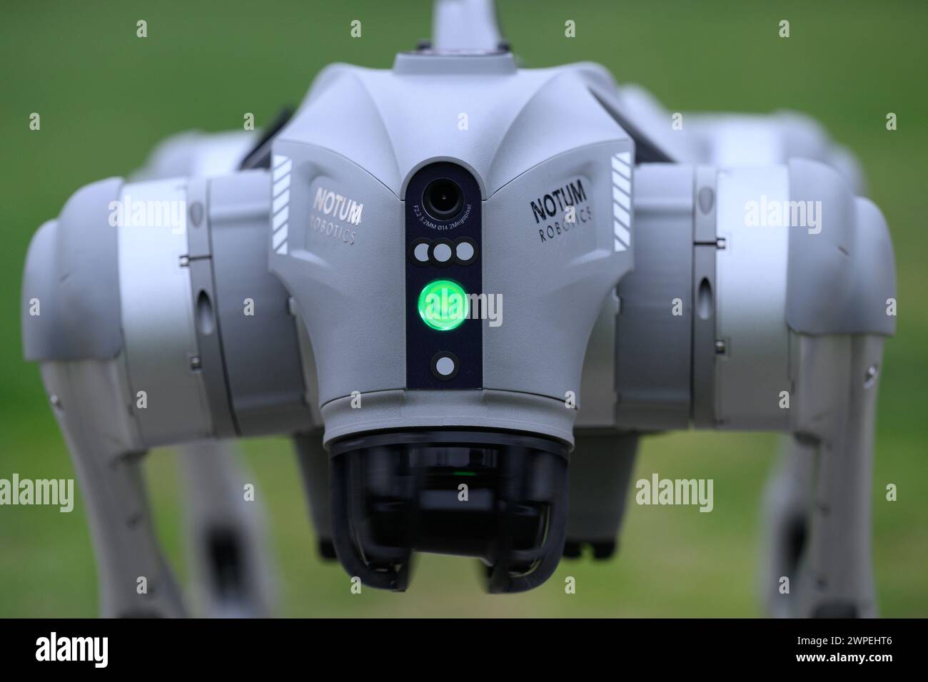 Robot dog owned by Milan Rajcevic, owner and director of the company ...