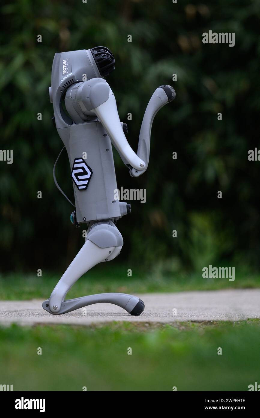 Robot dog owned by Milan Rajcevic, owner and director of the company ...