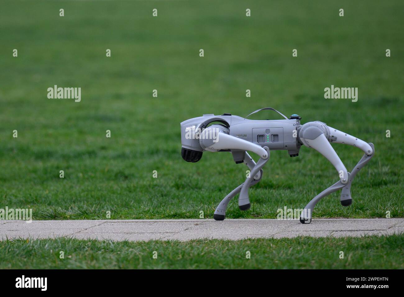 Robot dog owned by Milan Rajcevic, owner and director of the company ...