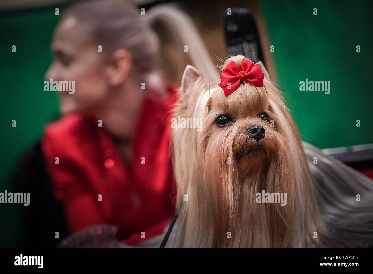 Birmingham, UK. 7th March 2024. Crufts 2024: Day 1 of the world famous ...