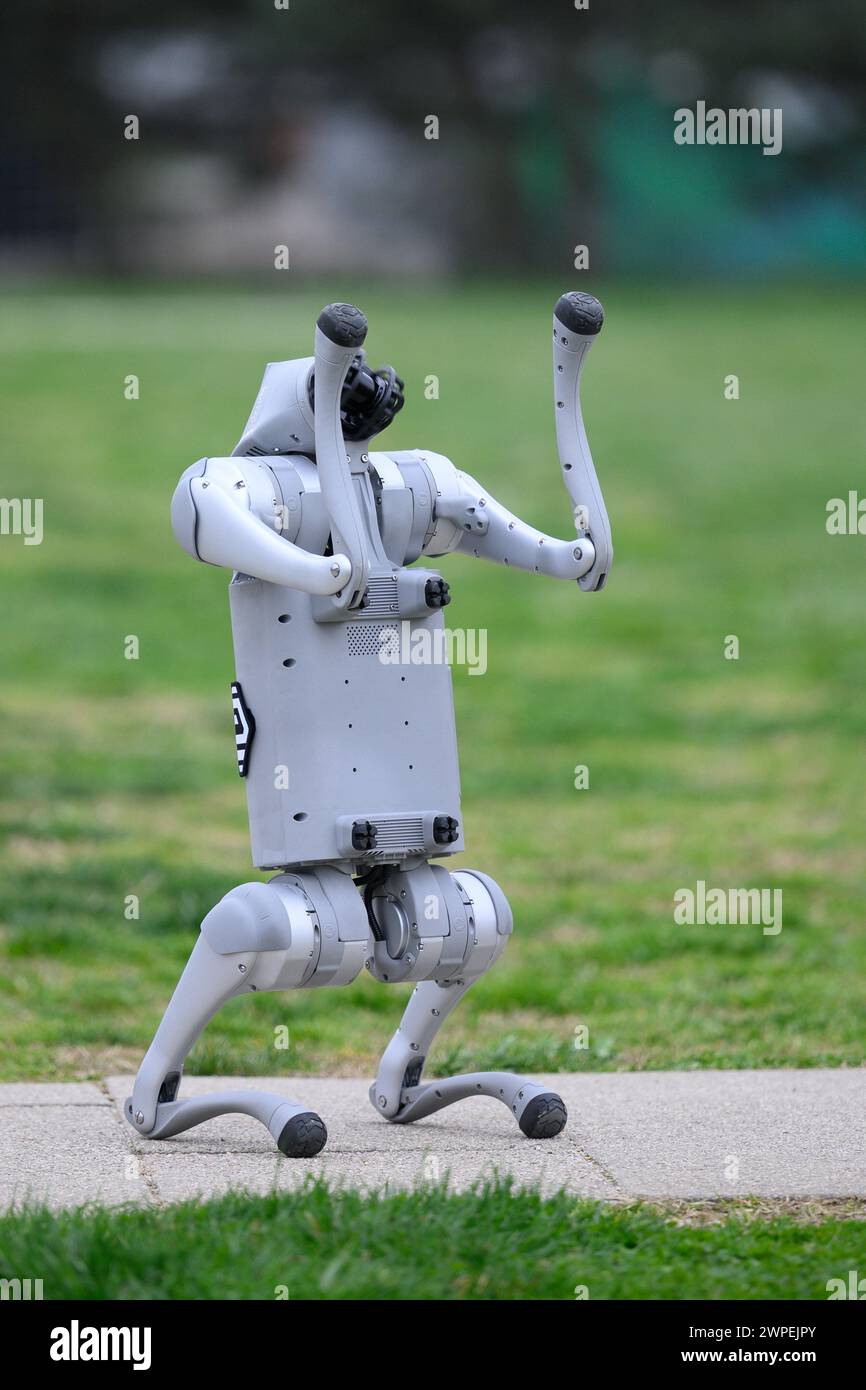 Robot dog owned by Milan Rajcevic, owner and director of the company ...