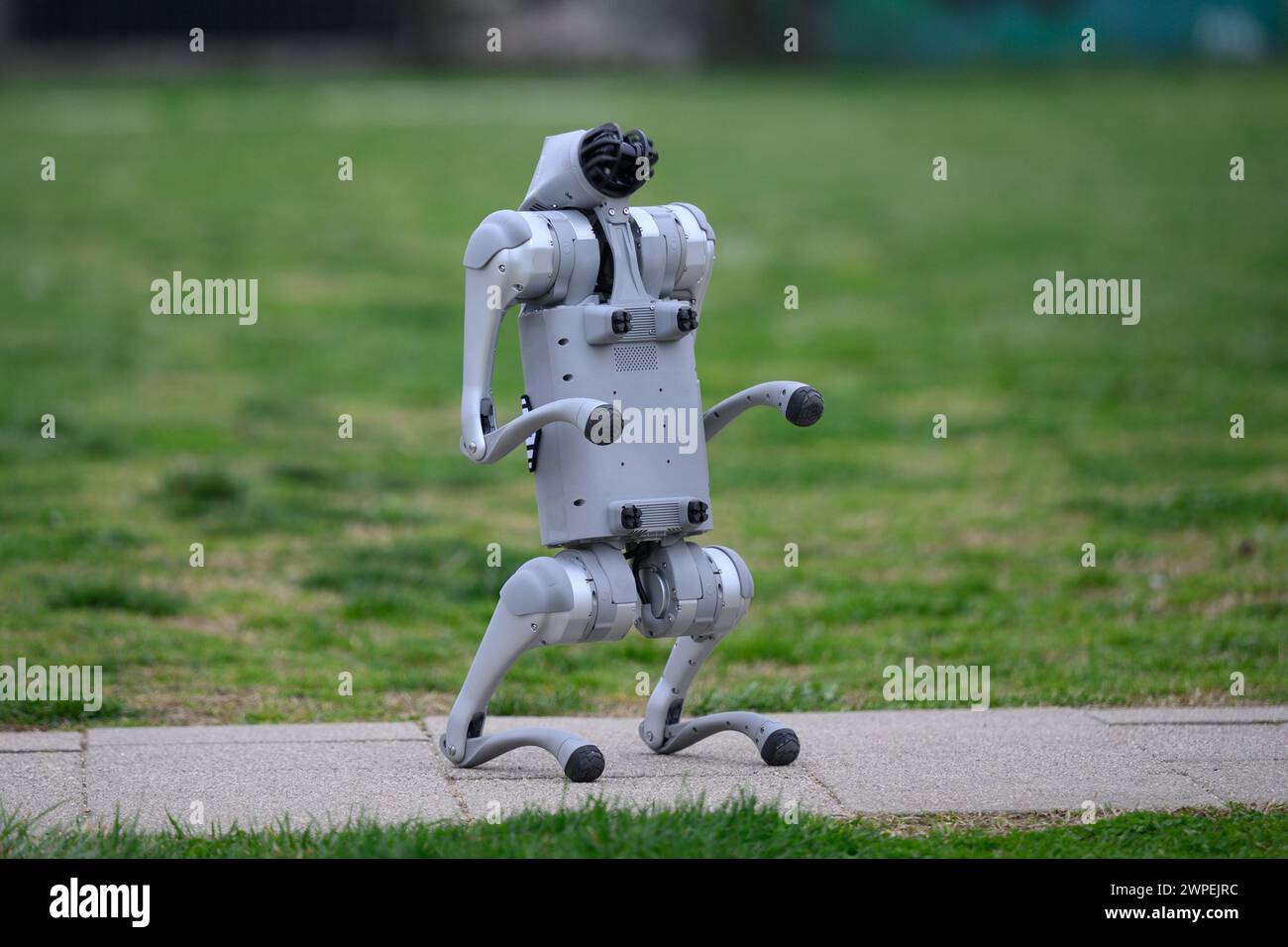Robot dog owned by Milan Rajcevic, owner and director of the company ...