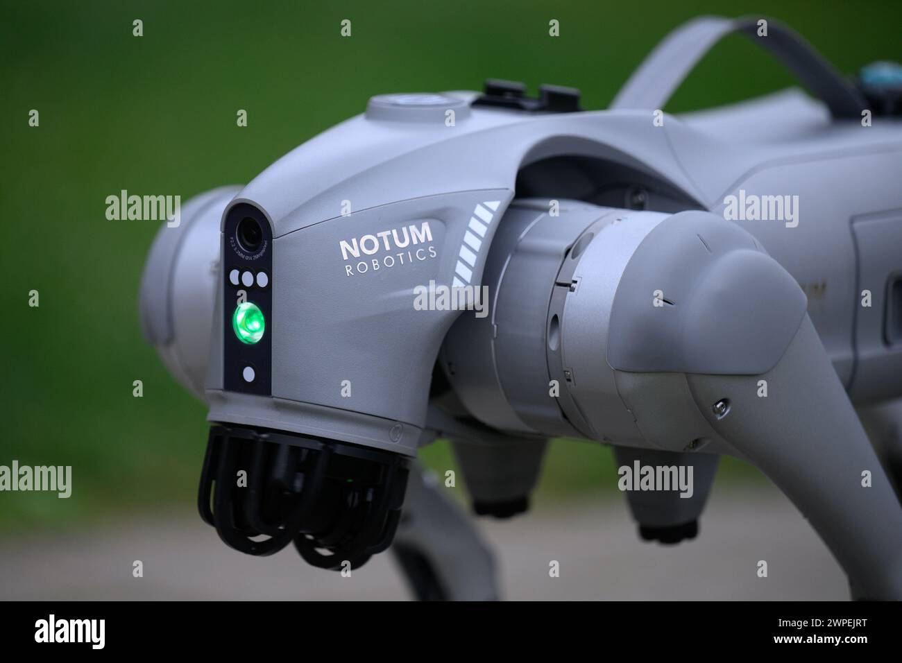 Robot dog owned by Milan Rajcevic, owner and director of the company ...