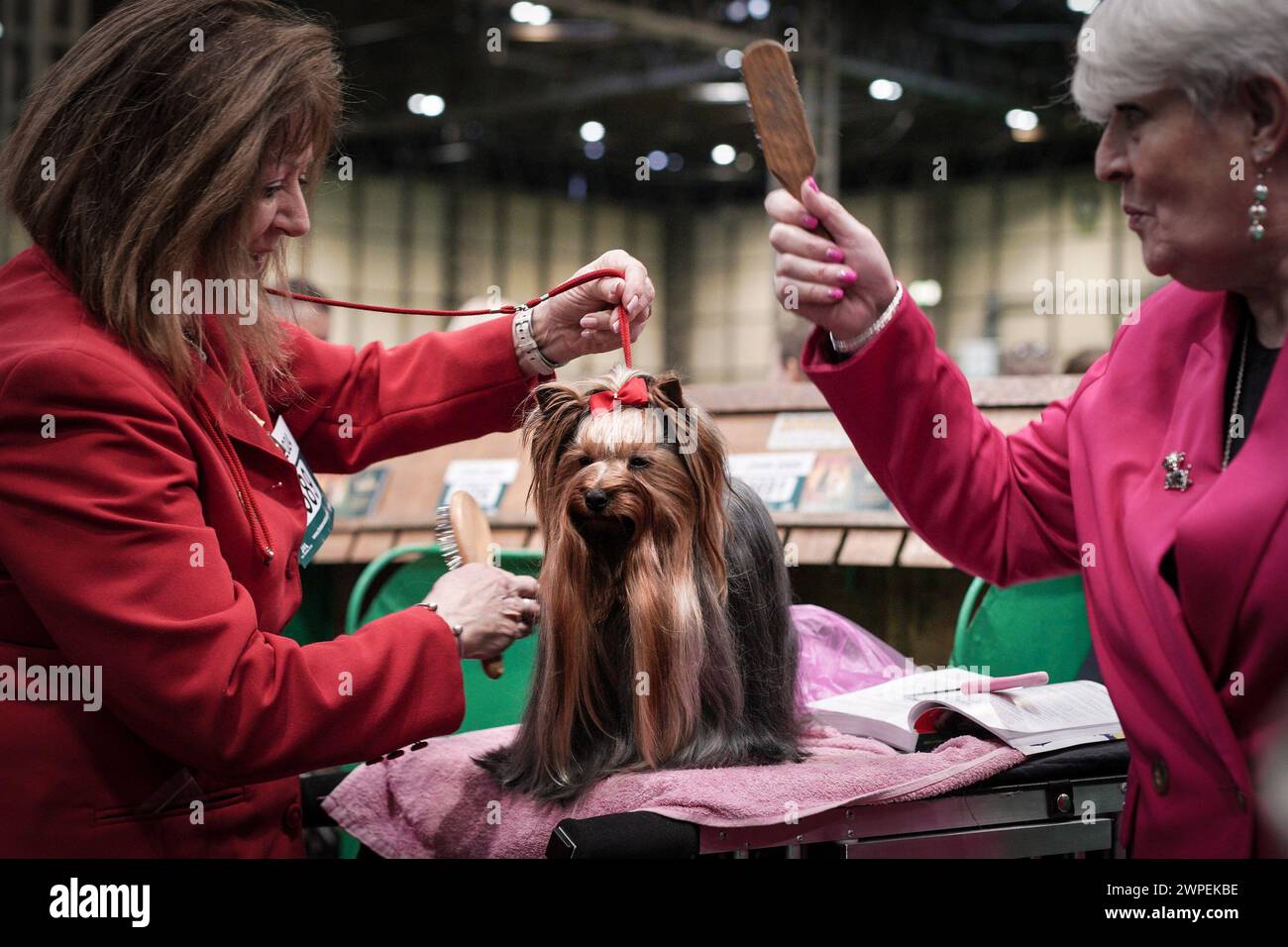 Birmingham, UK. 7th March 2024. Crufts 2024: Day 1 of the world famous ...