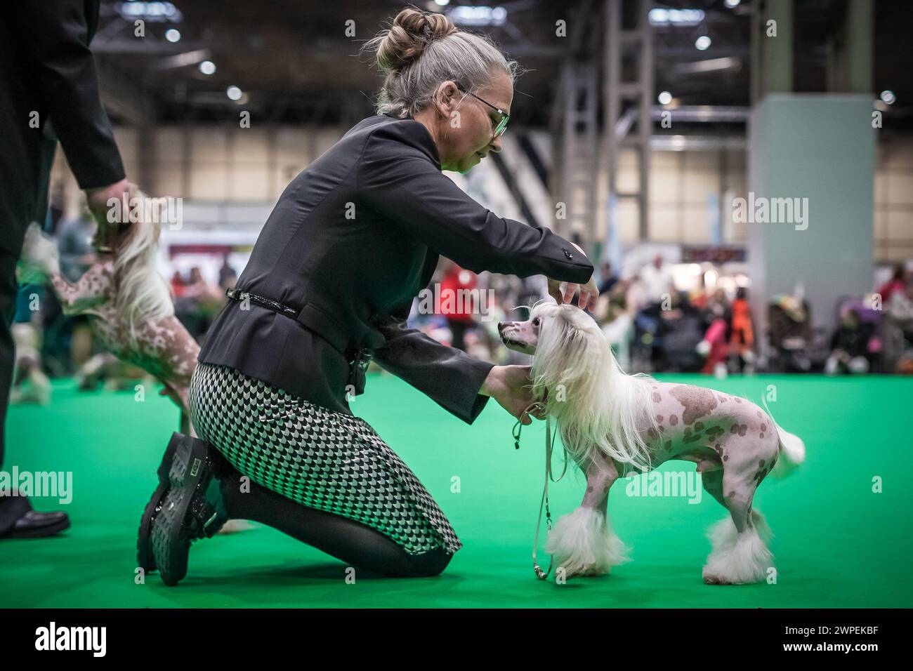 Birmingham, UK. 7th March 2024. Crufts 2024: Day 1 of the world famous ...