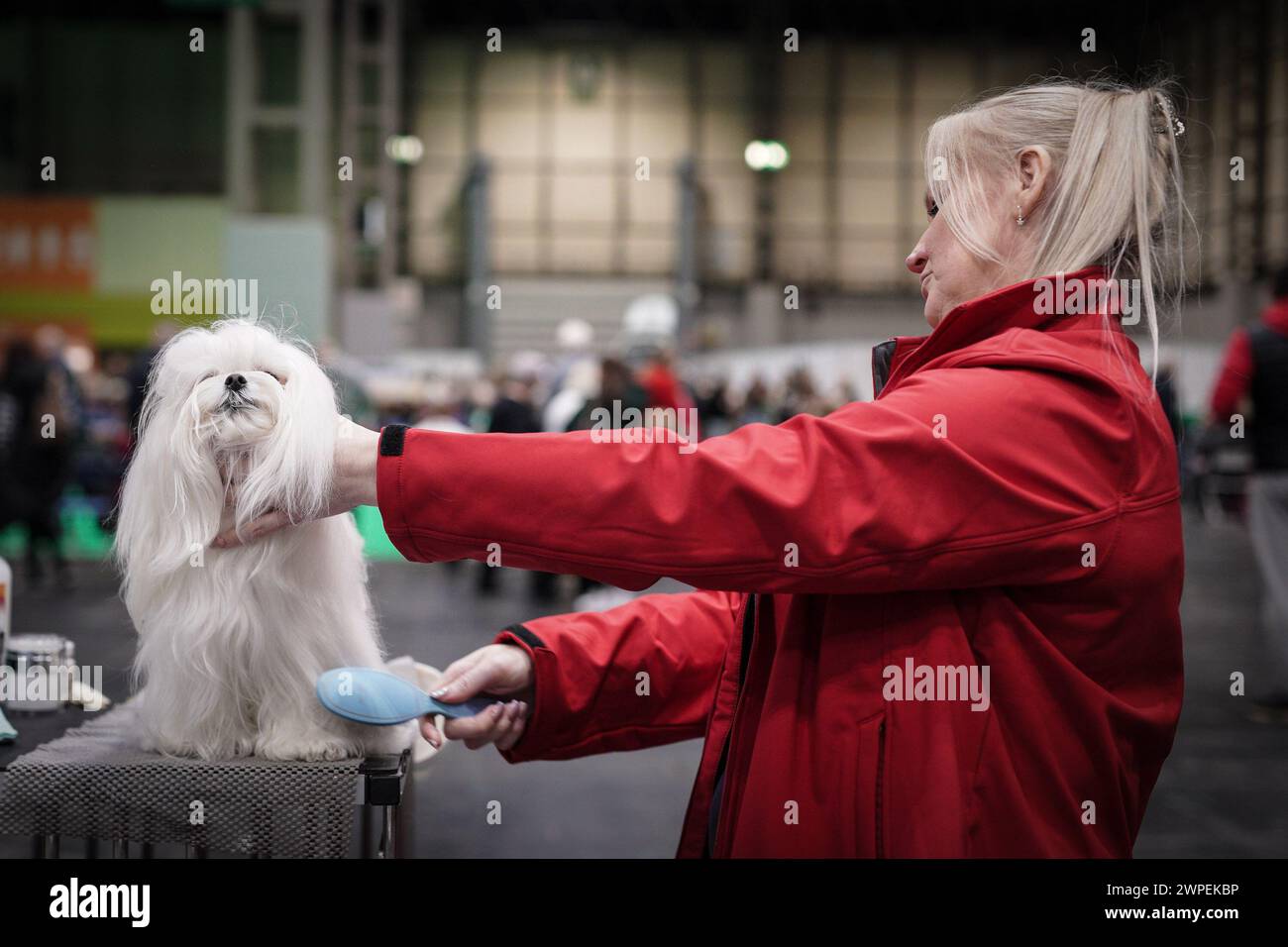 Birmingham, UK. 7th March 2024. Crufts 2024: Day 1 of the world famous ...