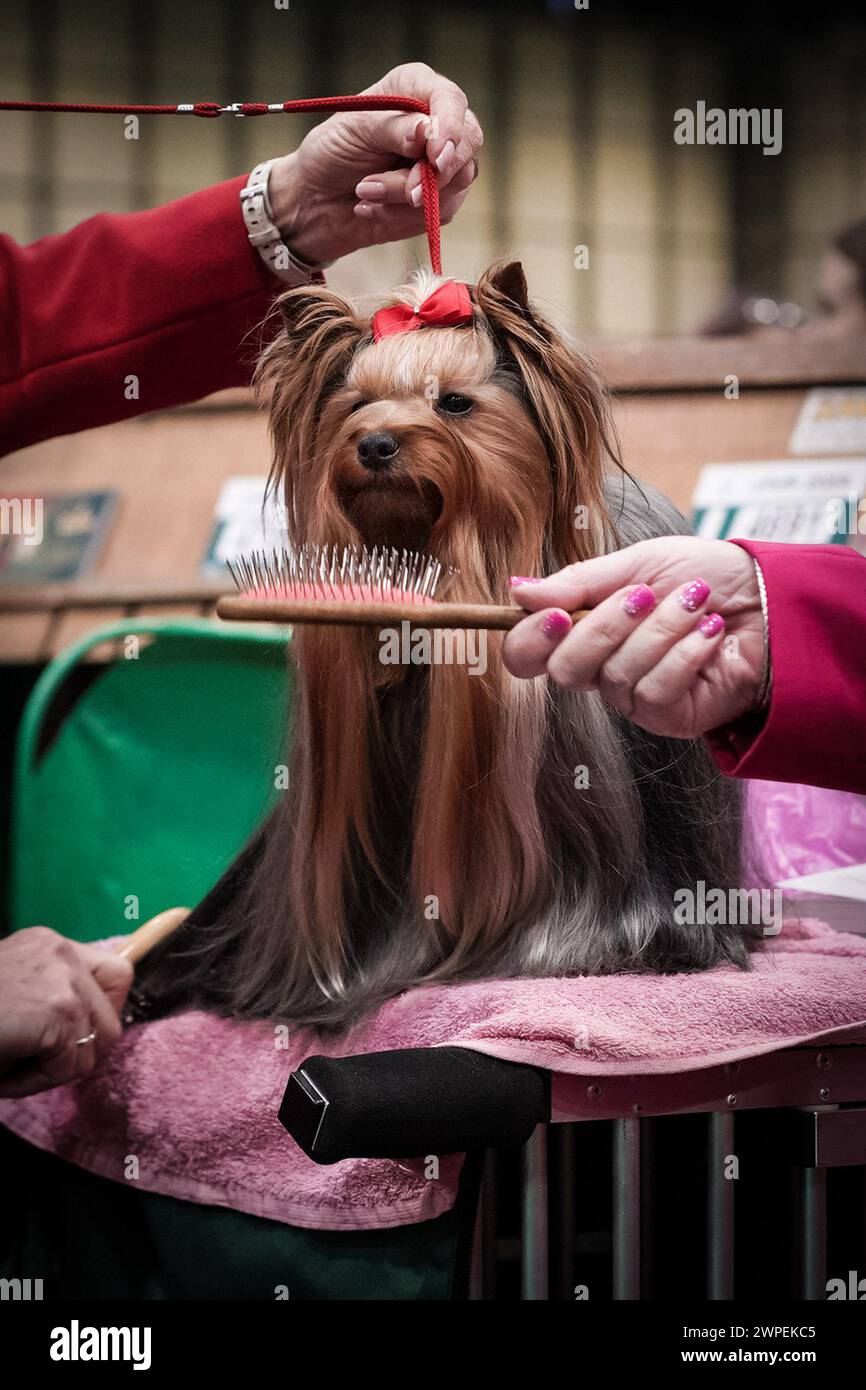 Birmingham, UK. 7th March 2024. Crufts 2024: Day 1 of the world famous ...